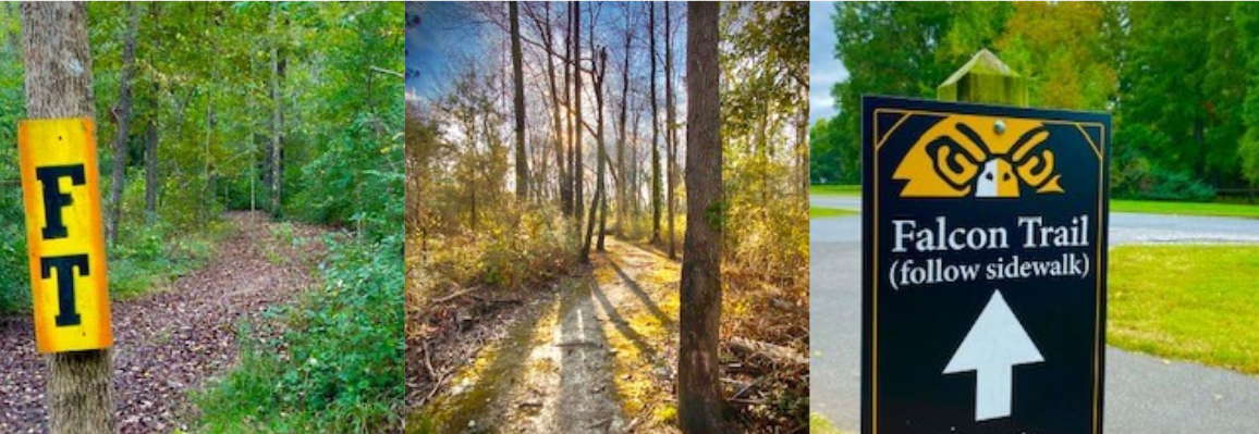 Phase 2 of Falcon Trail Construction Set to Start | Pfeiffer University