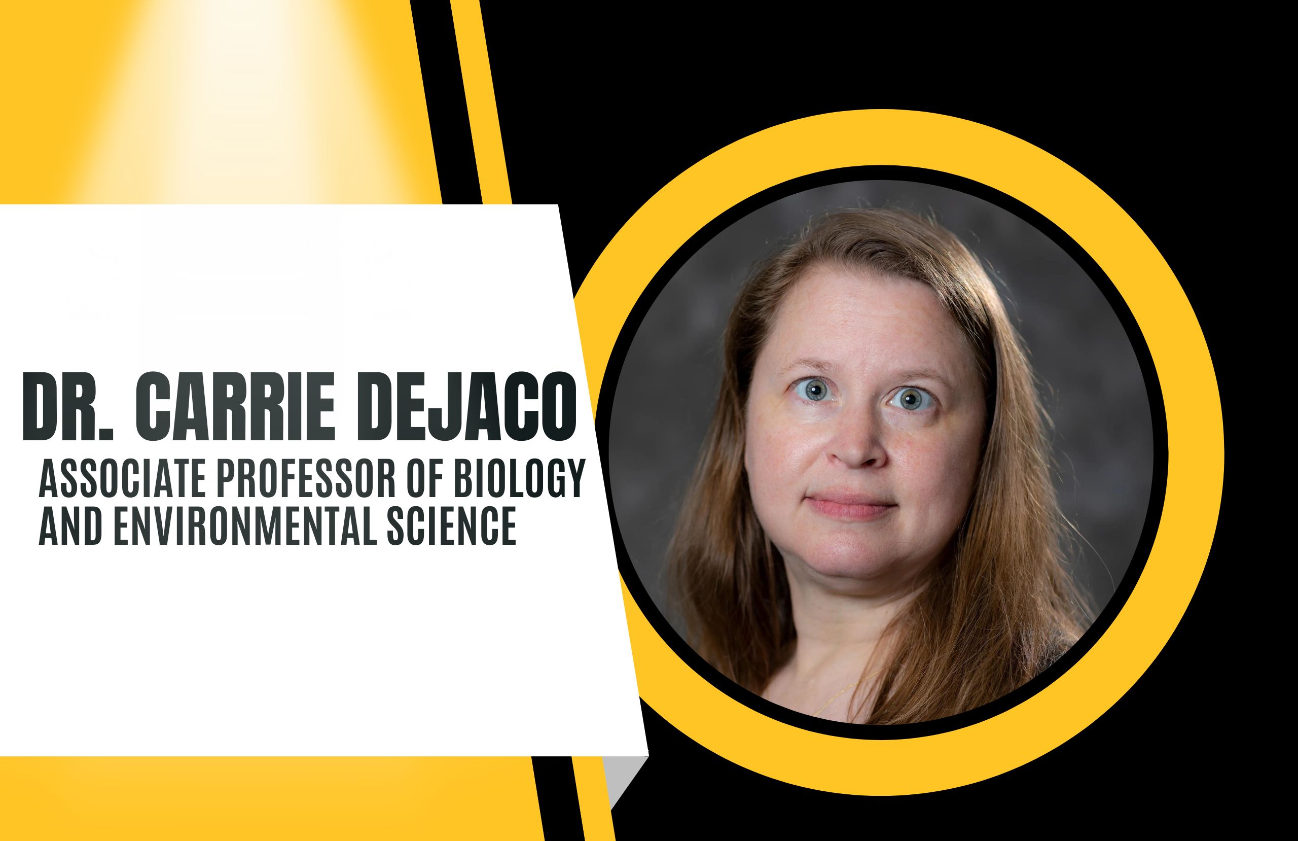 Faculty Spotlight - Dr. Carrie DeJaco | Pfeiffer University